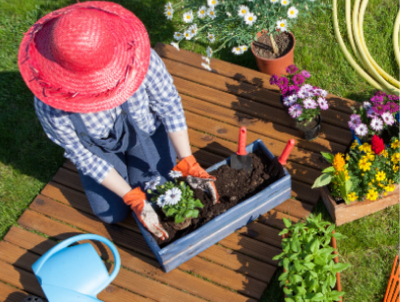 TOPCASH - החזר כספי בקניות אונליין מהאתרים המובילים בארץ בעולם